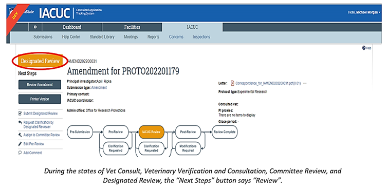 Adjusting Version to Review Only Most Recent Changes - Research Support